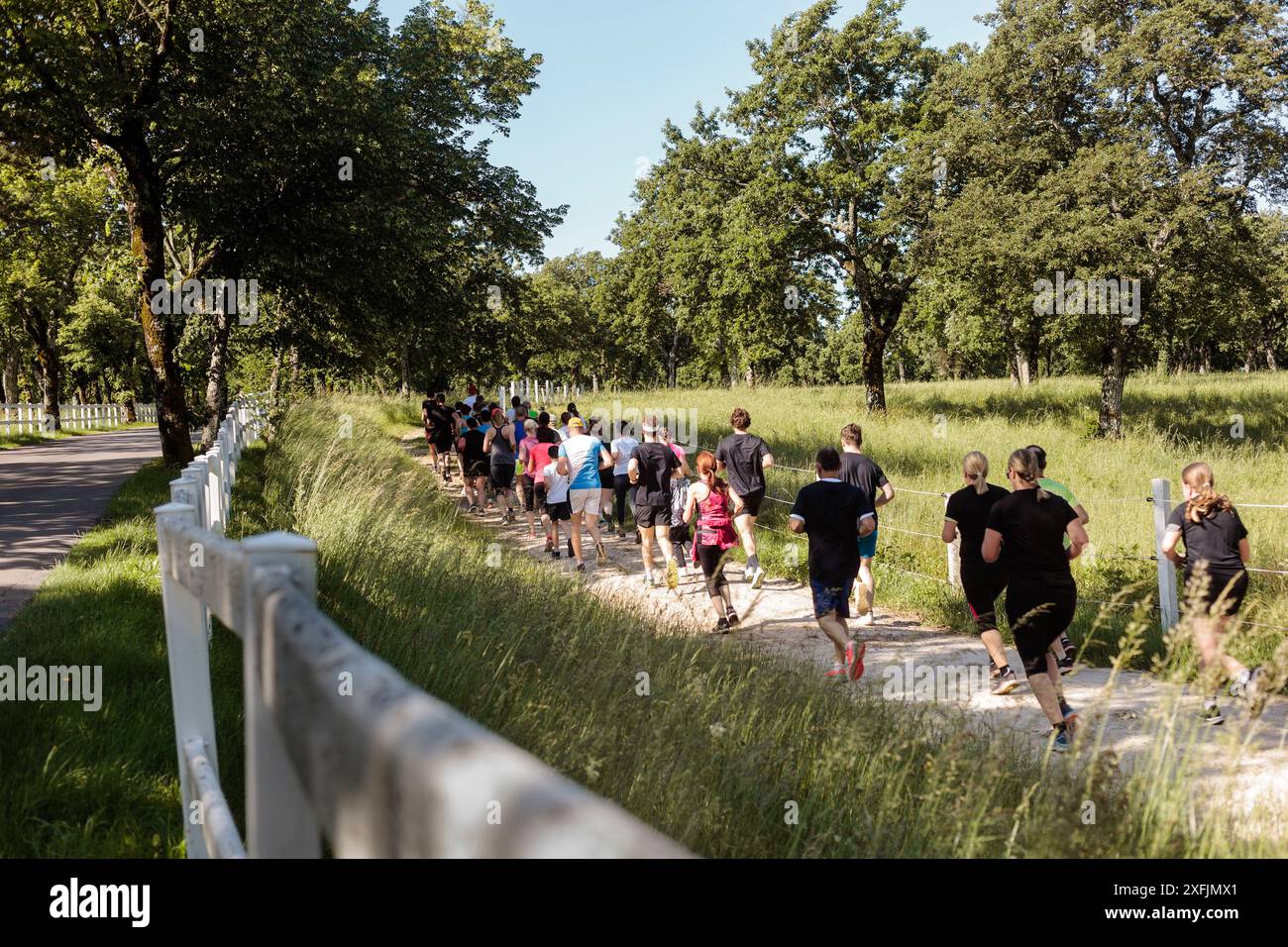 Team running together in hi-res stock photography and images - Alamy