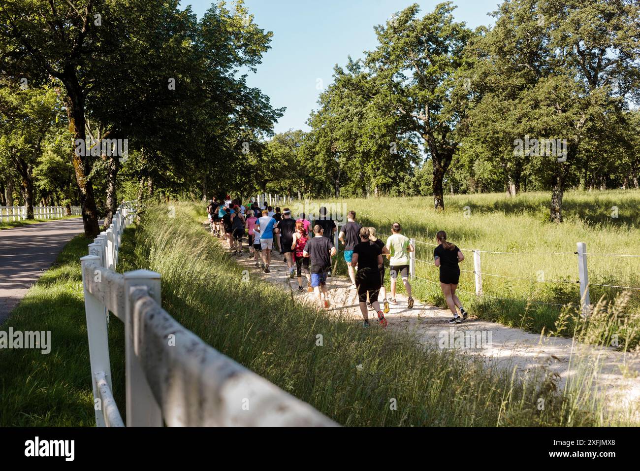 Group of runners in the wood of Lipica. Young and elder people together ...