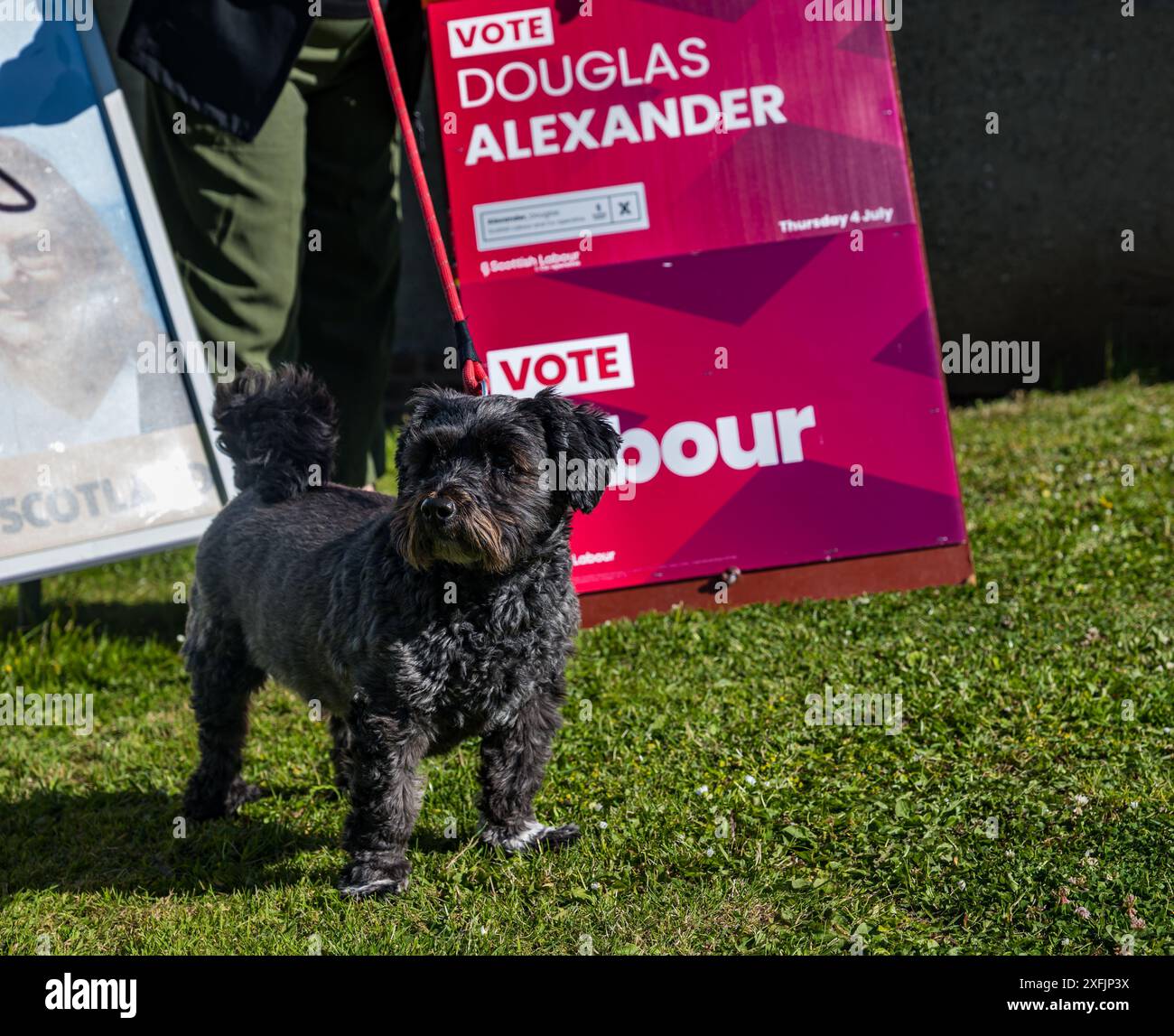 East Lothian, Scotland, UK, 04 July 2024. Dogs at Polling Places: the ...