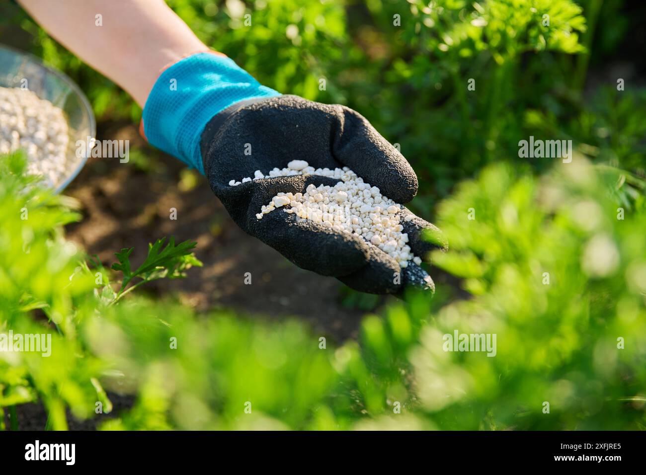 Nitrogen granular fertilizer close hi-res stock photography and images ...