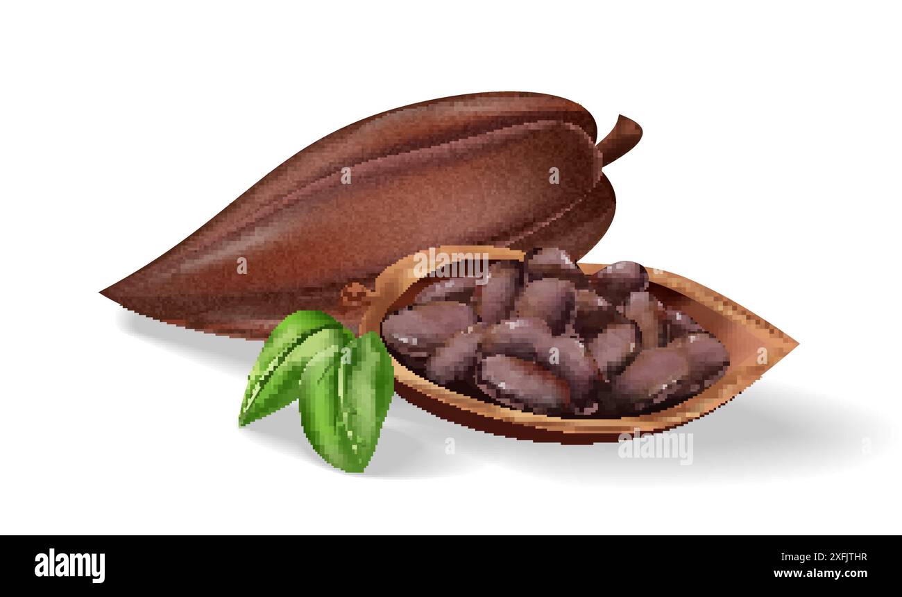Cocoa vector frame on Stock Vector Images - Alamy