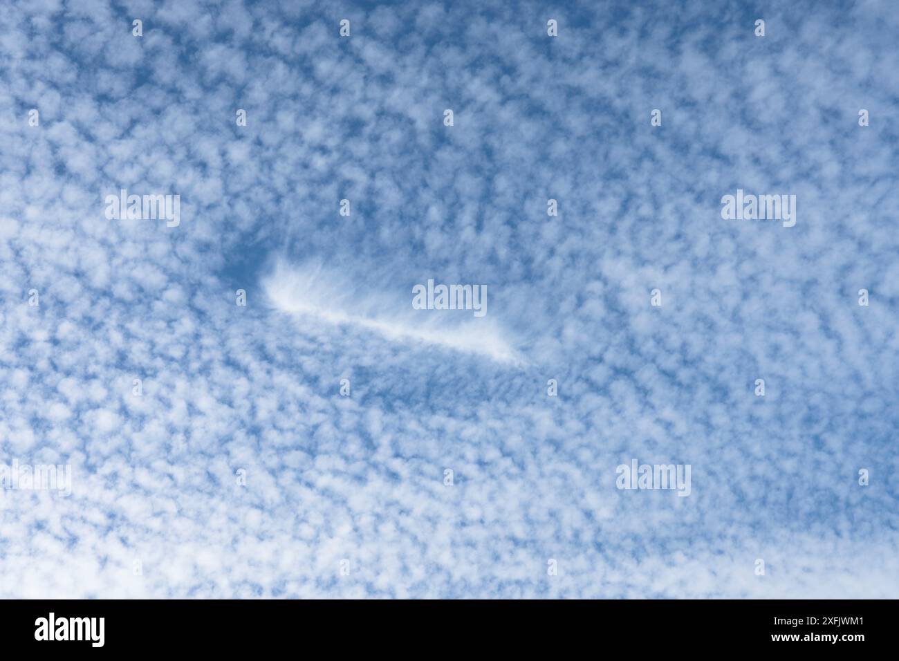 alto cumulus clouds, altocumulus, weather phenomena, unusual feature ...