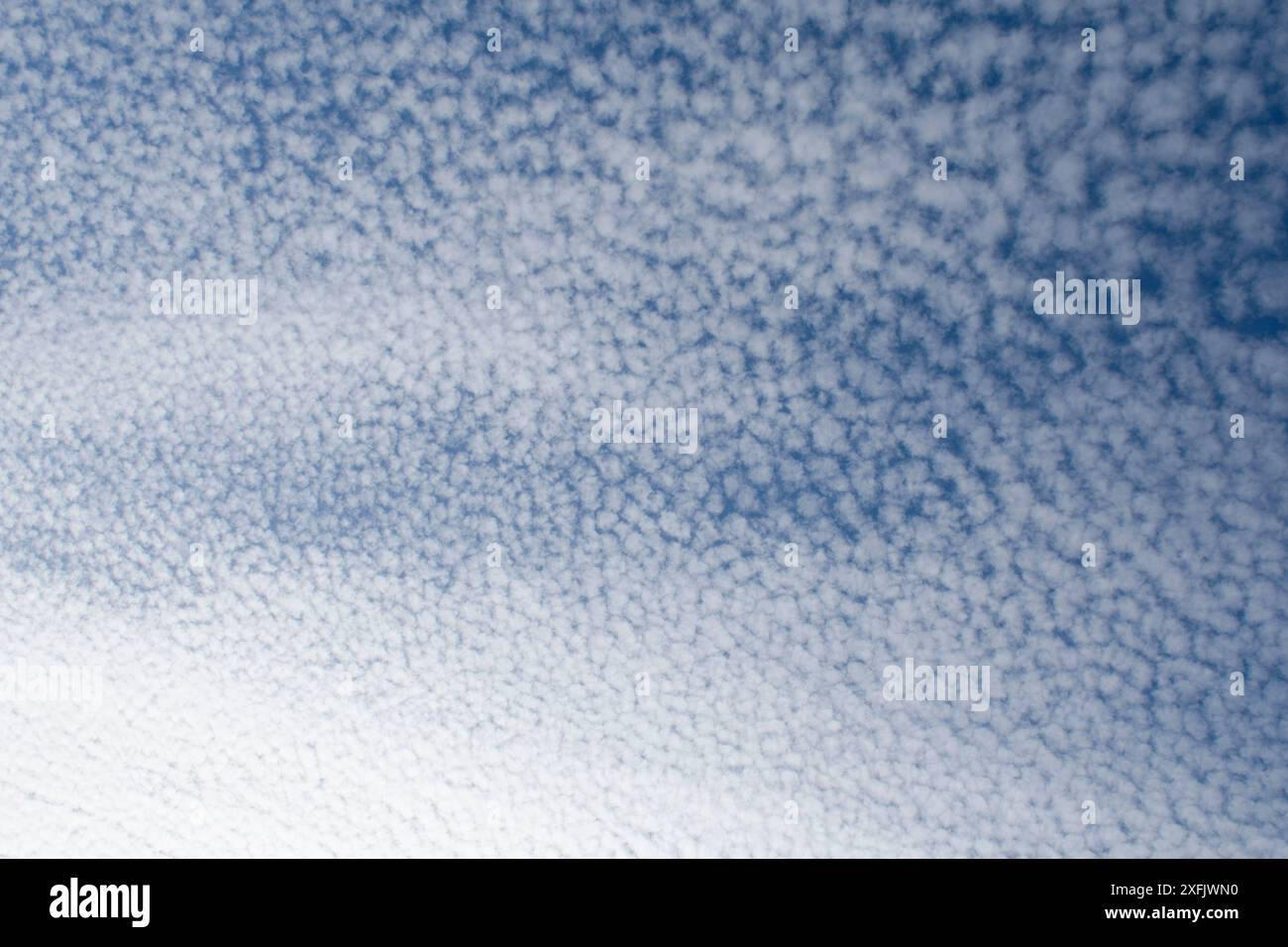 alto cumulus clouds, altocumulus, weather phenomena, blue sky Stock Photo - Alamy
