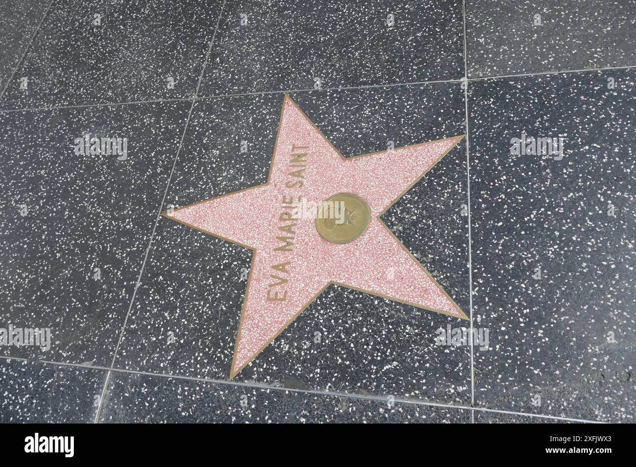 Eva marie saint walk of fame hi-res stock photography and images - Alamy