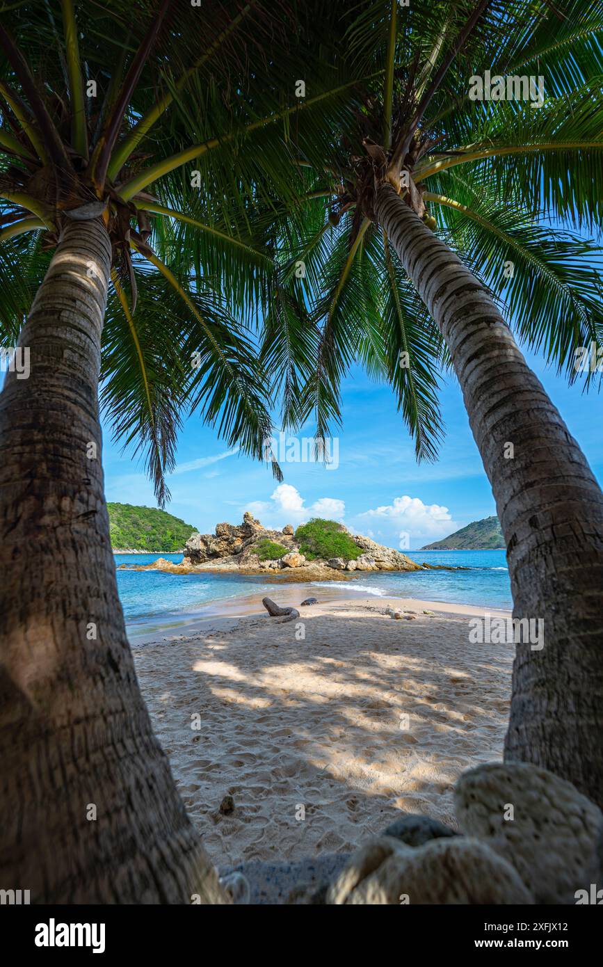 Peer through the coconut trees on the beach to see a small island ...
