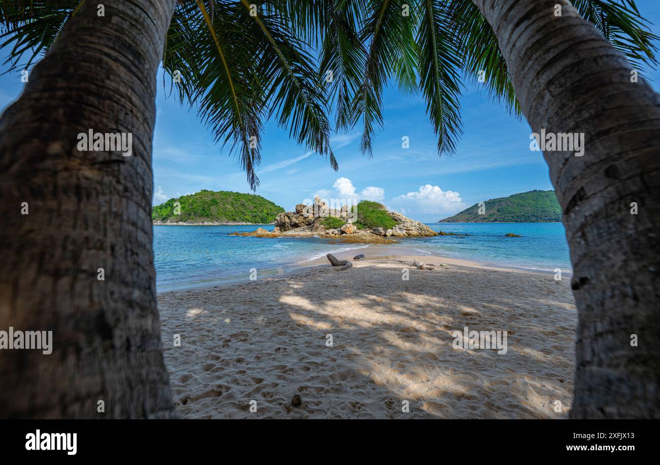 Peer through the coconut trees on the beach to see a small island ...