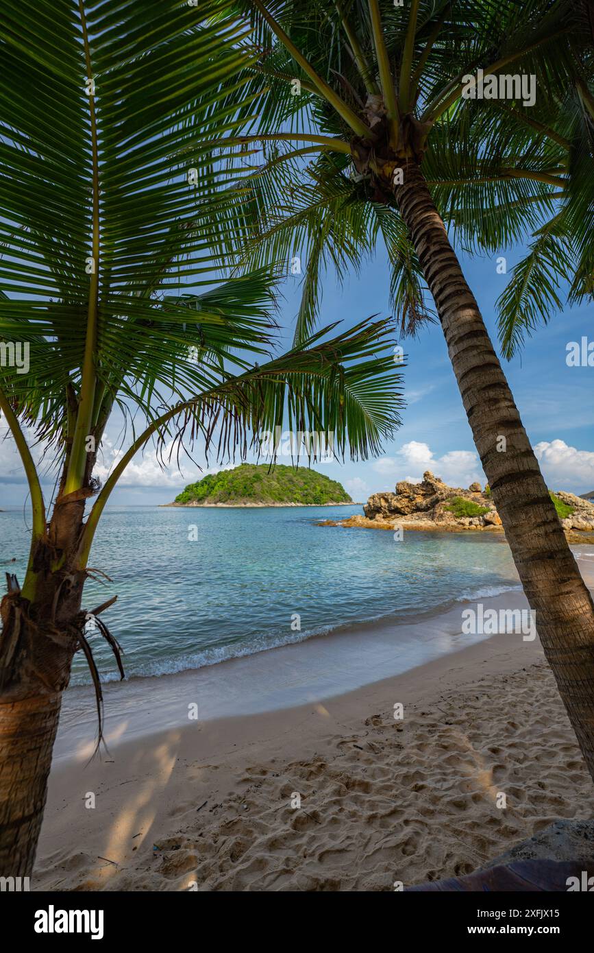 Peer through the coconut trees on the beach to see a small island ...