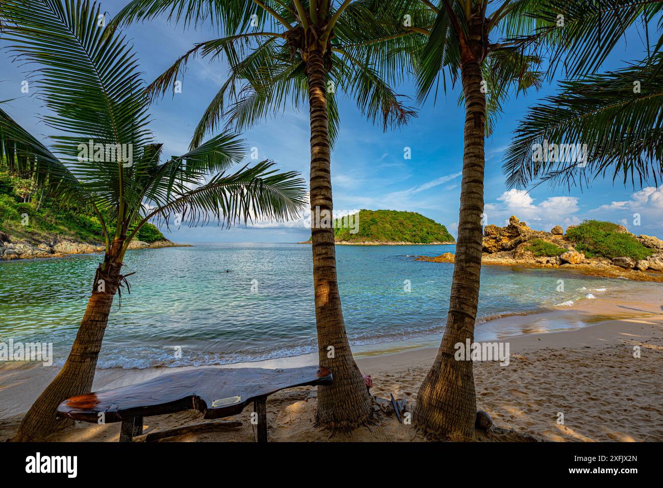 Peer through the coconut trees on the beach to see a small island ...