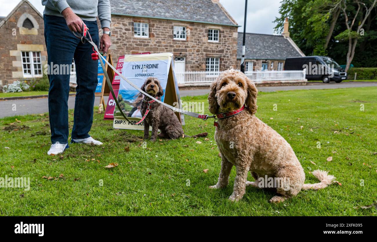 East Lothian, Scotland, UK, 04 July 2024. Dogs at Polling Places: the ...