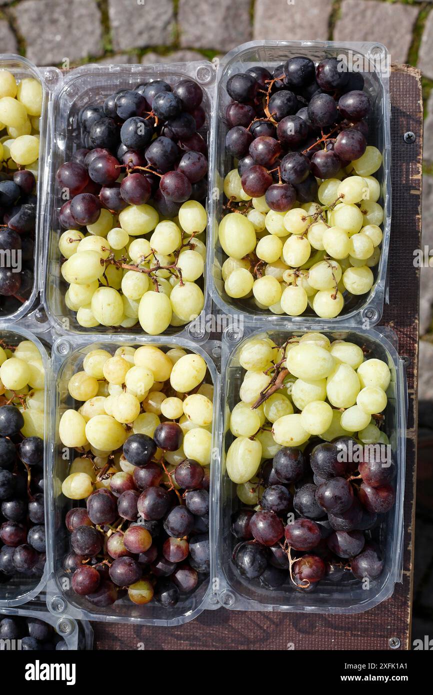 Dark and green grapes in bowls on a market stall, top view, Germany ...