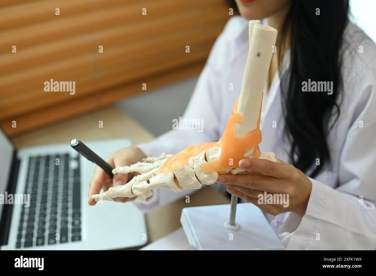 Cropped shot orthopedist showing ankle joint and ligaments on ...