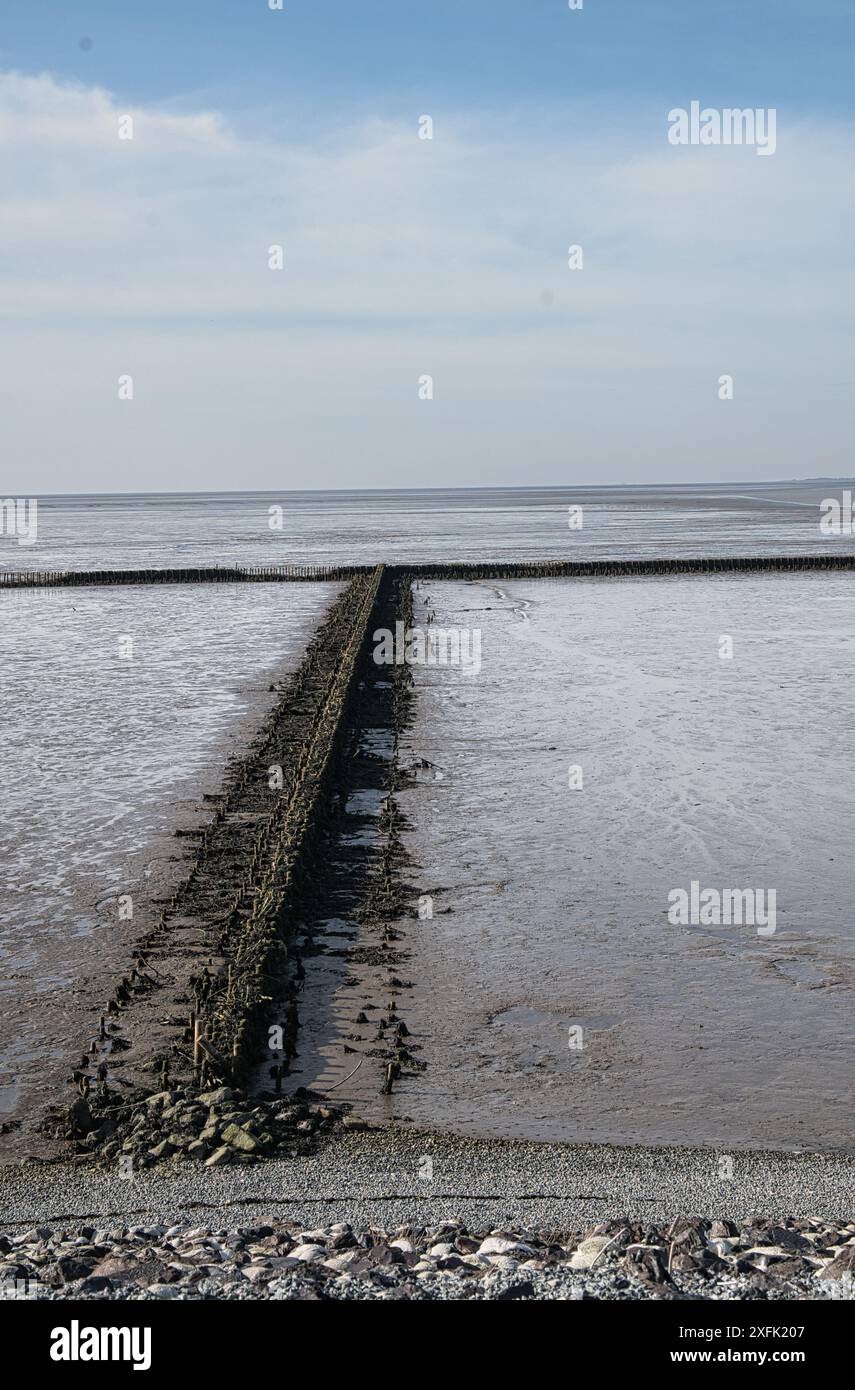 Wadden dike hi-res stock photography and images - Alamy