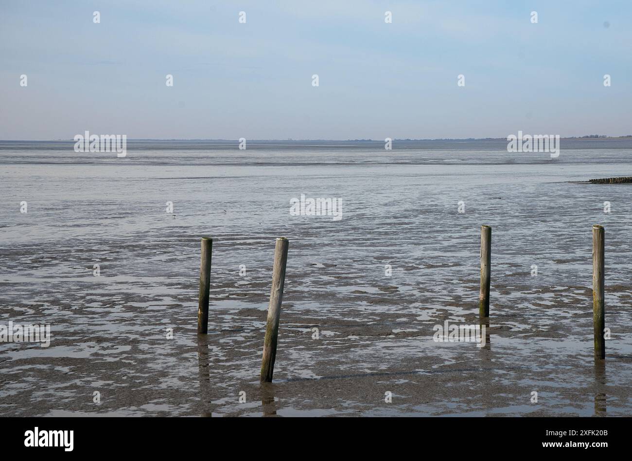 Low tide exposing muddy shoreline with wooden posts visible along the ...