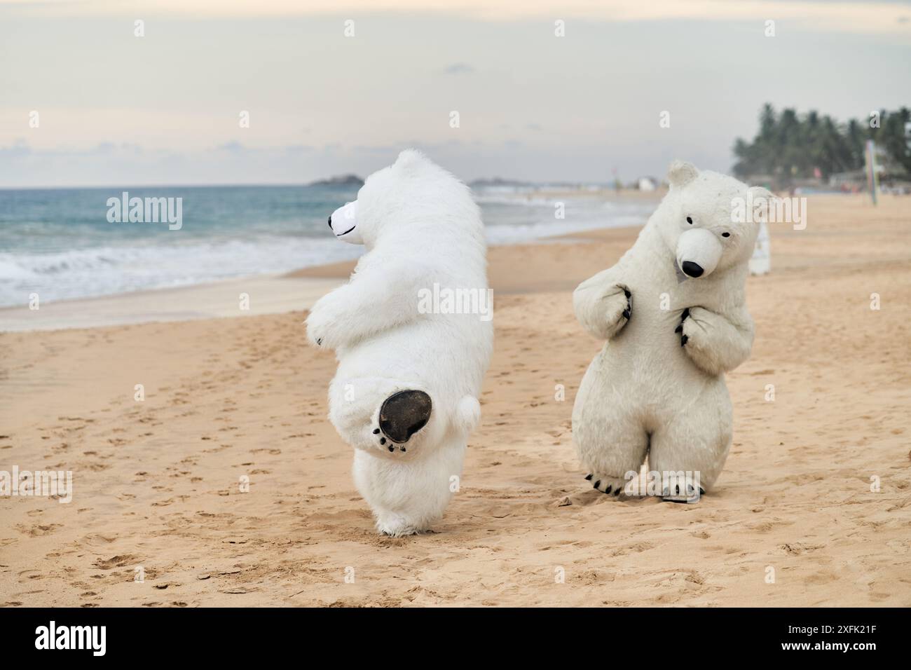 Animators dressed as polar bears entertain people on the beach Stock Photo - Alamy