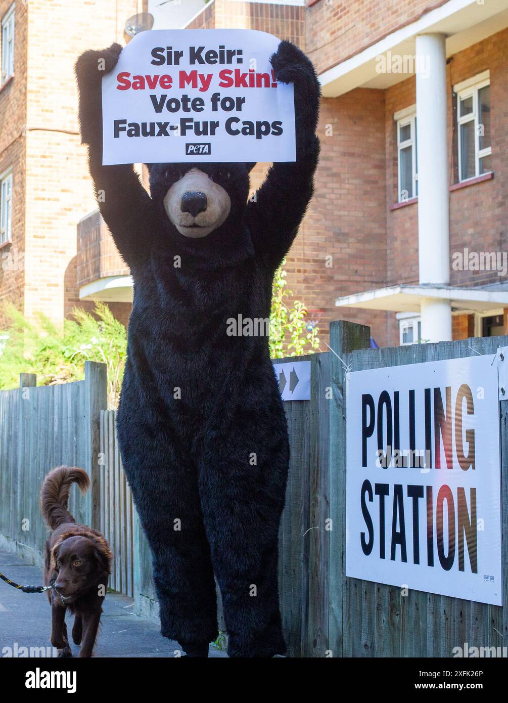 Cats bear hi-res stock photography and images - Alamy