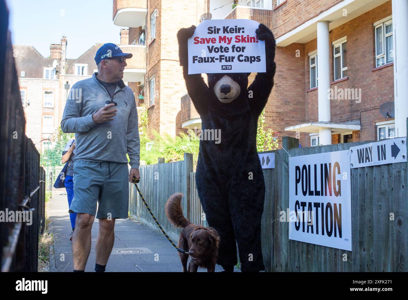 Cats bear hi-res stock photography and images - Alamy