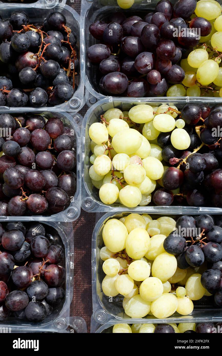 Dark and green grapes in bowls on a market stall, top view, Germany ...