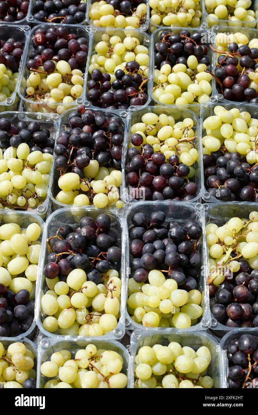 Dark and green grapes in bowls on a market stall, top view, Germany ...