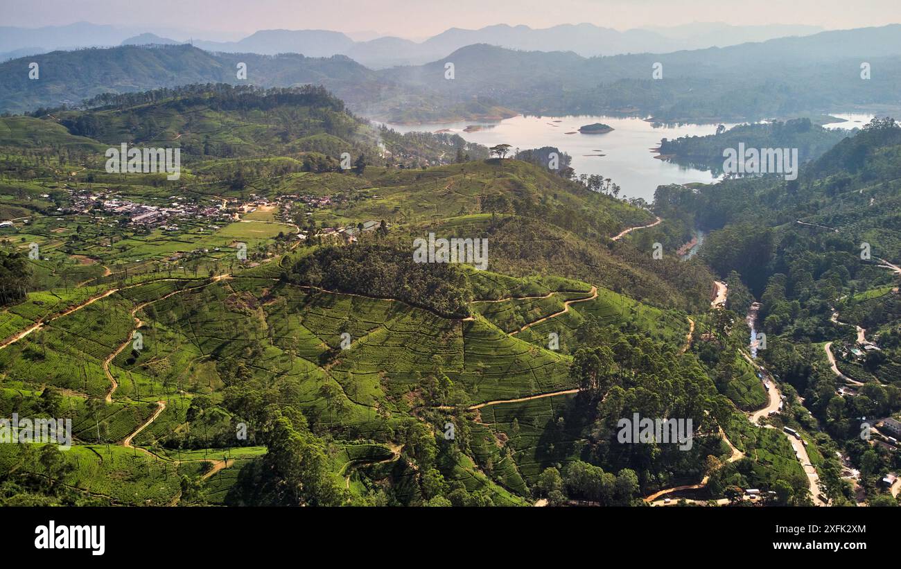 Aerial view of tea plantations in Sri Lanka. View from Adam's Peak to ...
