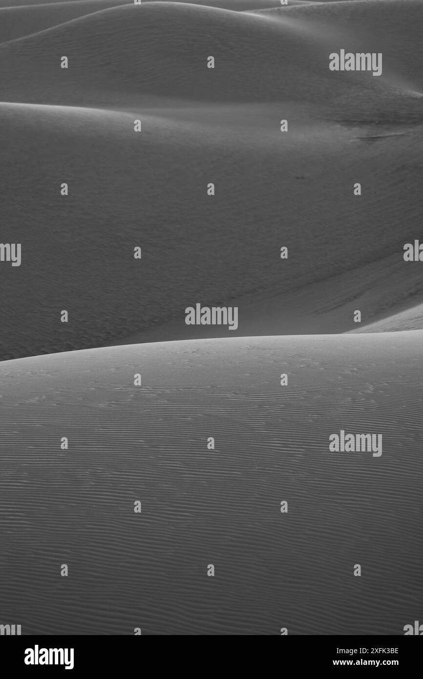 Socotra Island amazing nature, landscape and rare and unique botanical ...