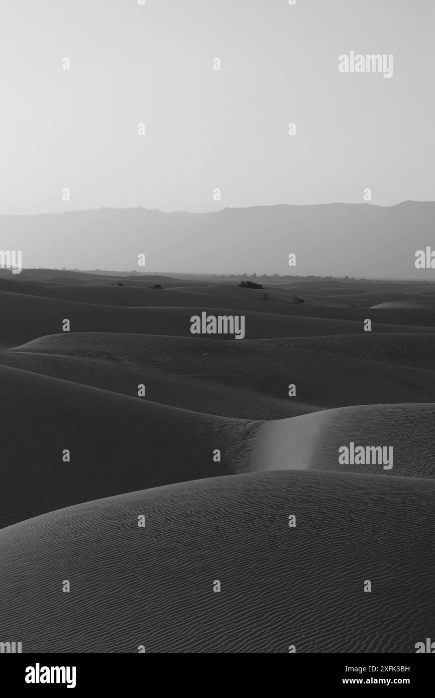 Socotra Island amazing nature, landscape and rare and unique botanical ...