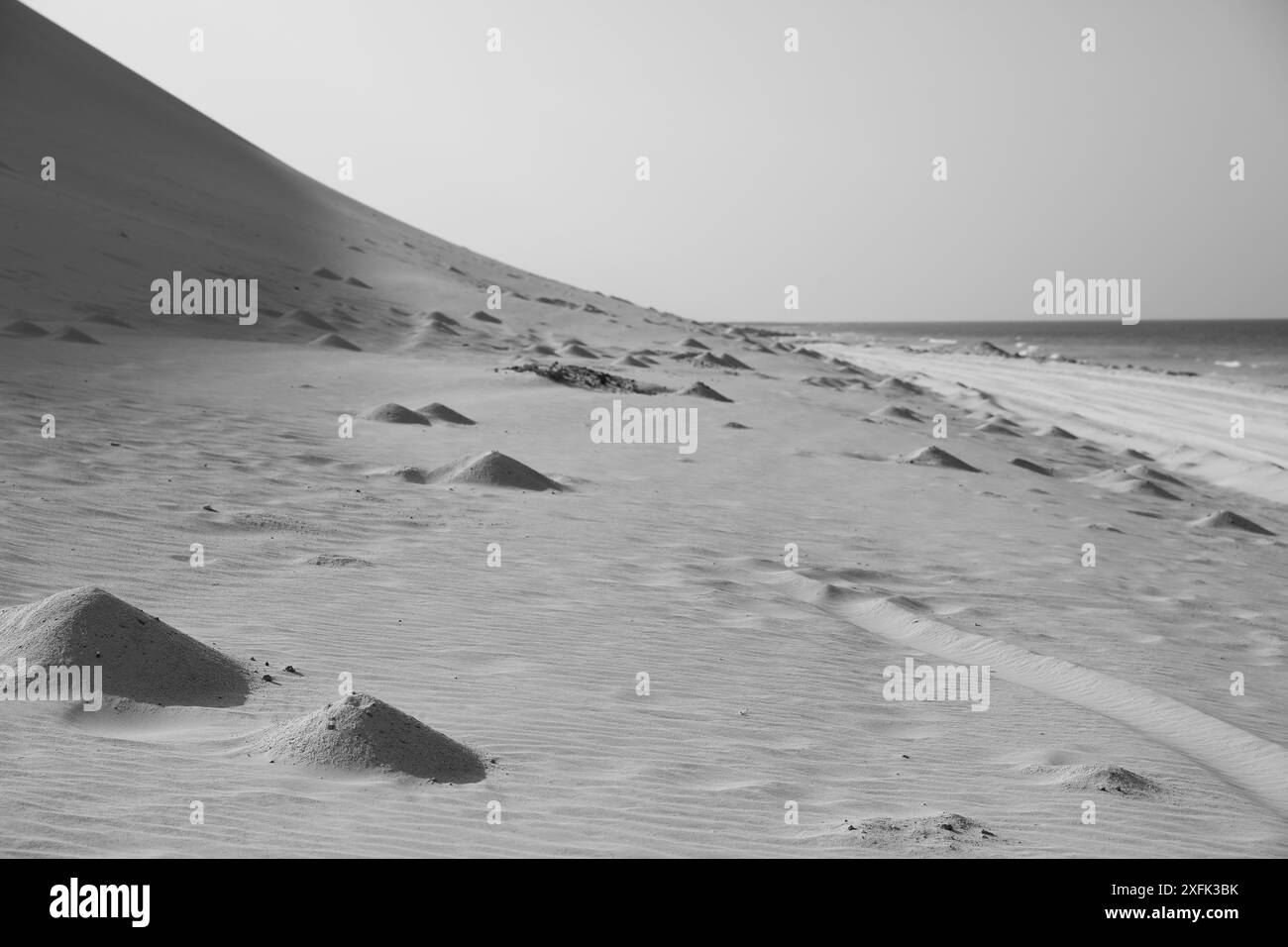 Socotra Island amazing nature, landscape and rare and unique botanical ...