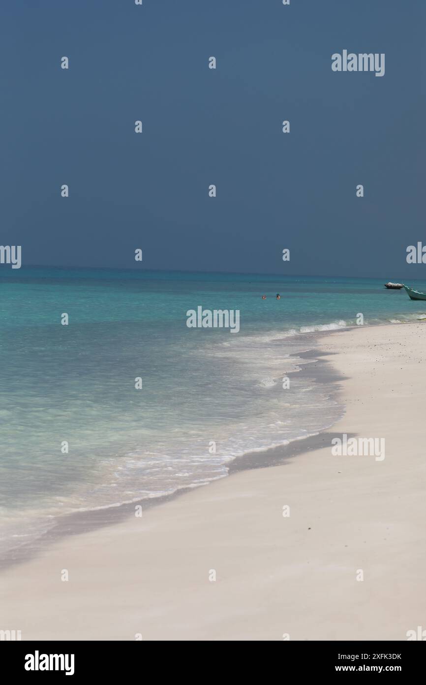 Socotra Island amazing nature, landscape and rare and unique botanical ...