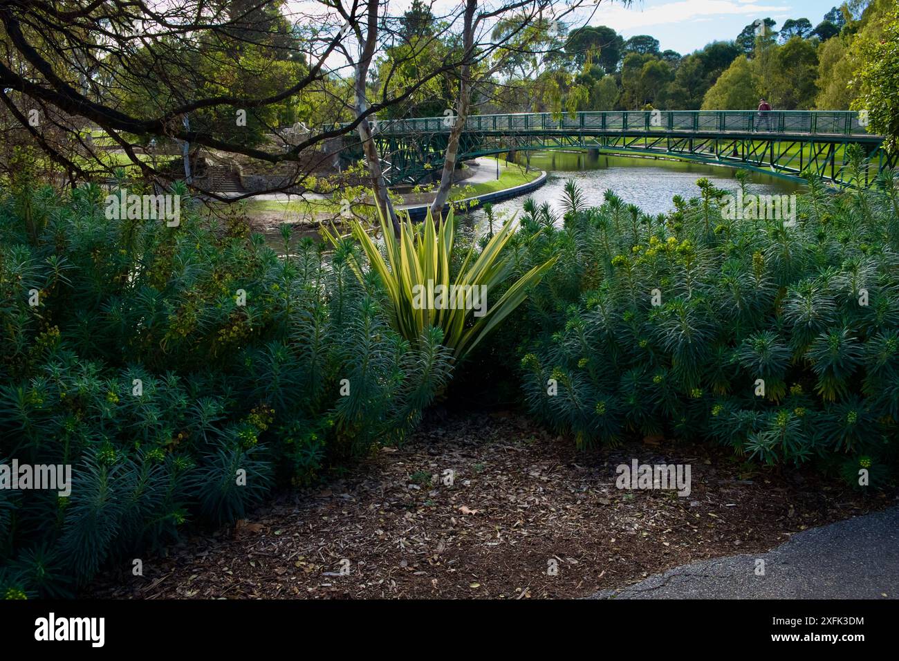 Old bridge over the Torrens river in Adelaide Stock Photo - Alamy