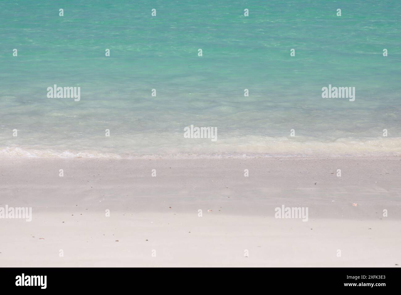 Socotra Island amazing nature, landscape and rare and unique botanical ...