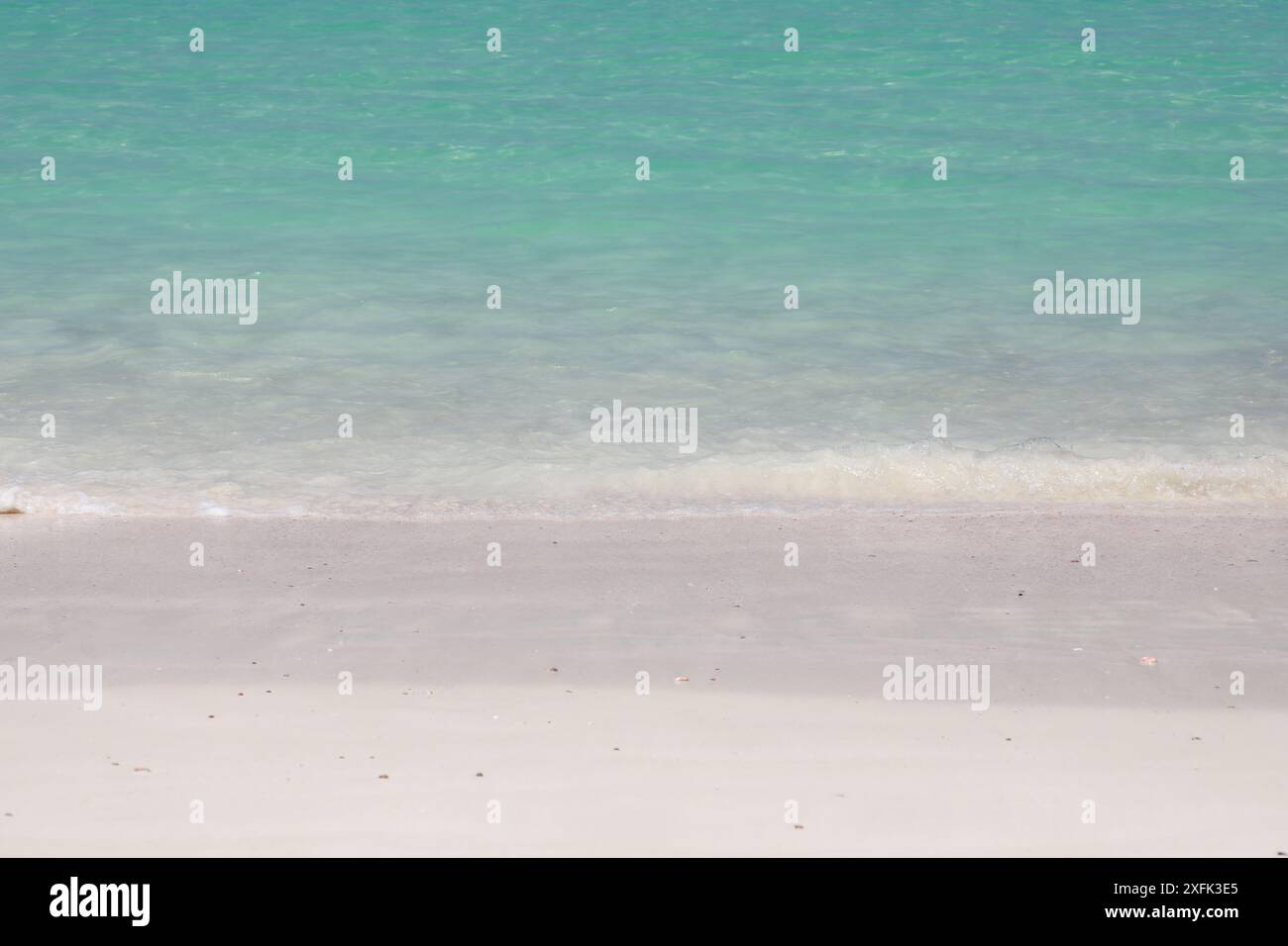 Socotra Island amazing nature, landscape and rare and unique botanical ...