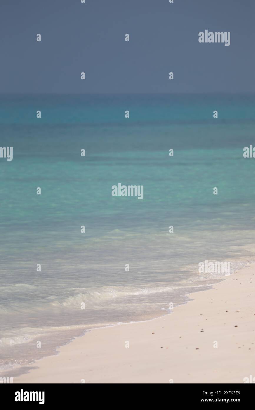 Socotra Island amazing nature, landscape and rare and unique botanical ...