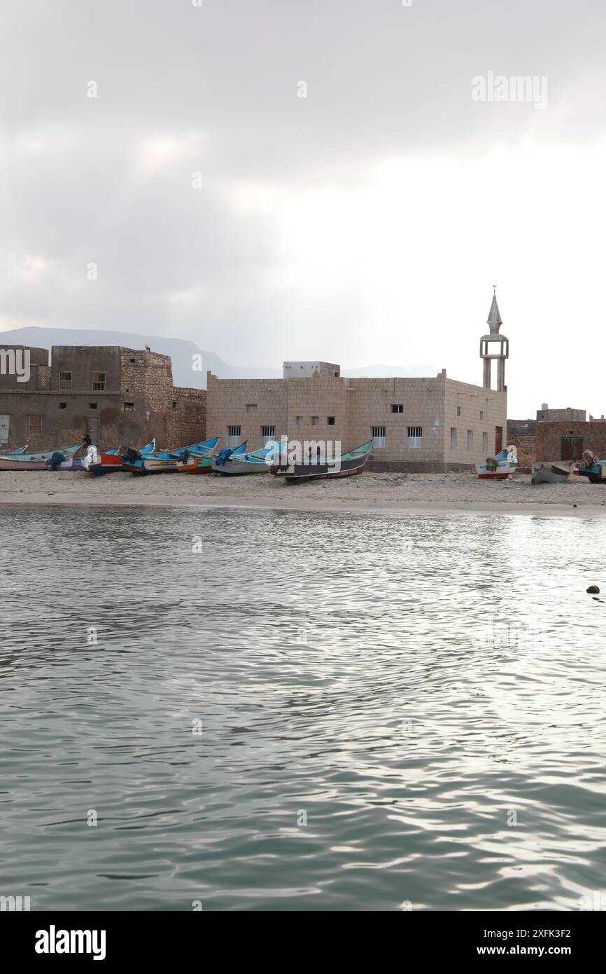 Socotra Island amazing nature, landscape and rare and unique botanical ...