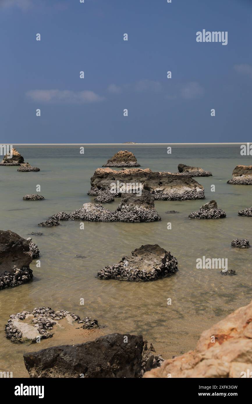 Socotra Island amazing nature, landscape and rare and unique botanical ...