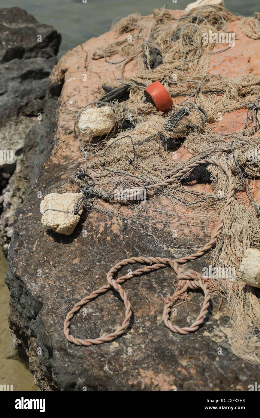 Socotra Island amazing nature, landscape and rare and unique botanical ...