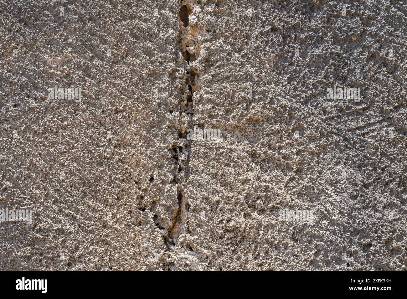 Limestone Fossils texture background 1 Stock Photo - Alamy