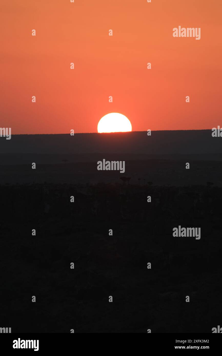 Socotra Island amazing nature, landscape and rare and unique botanical ...