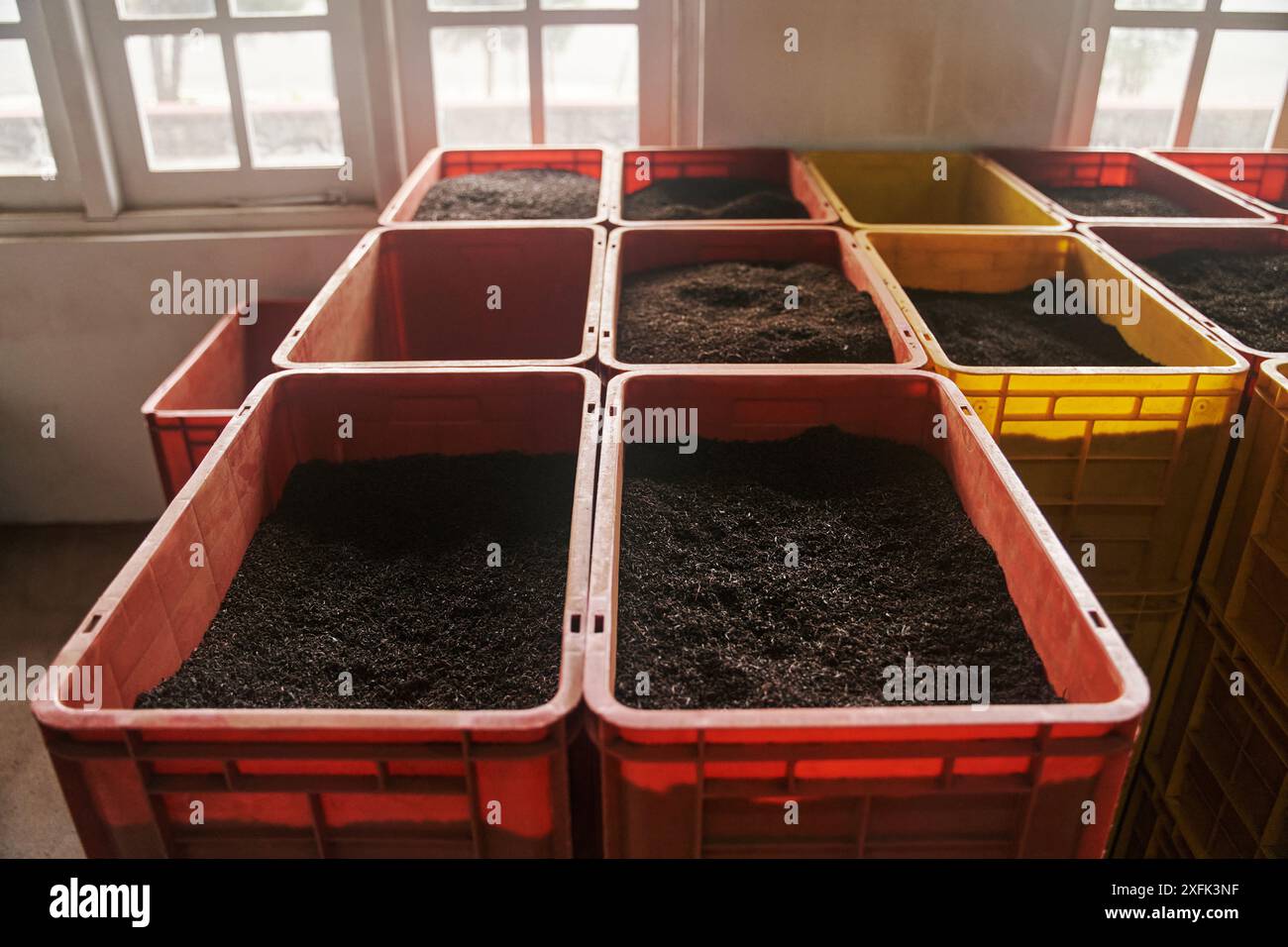 Ceylon tea in plastic boxes at tea factory in Kandy, Sri Lanka Stock ...