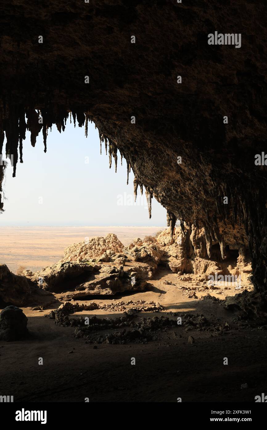 Socotra Island amazing nature, landscape and rare and unique botanical ...