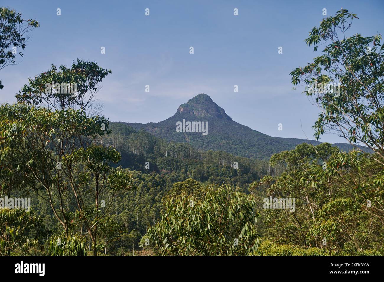 View of the sacred mountain Adam peak. Mount Sri Pada in Sri Lanka is a ...