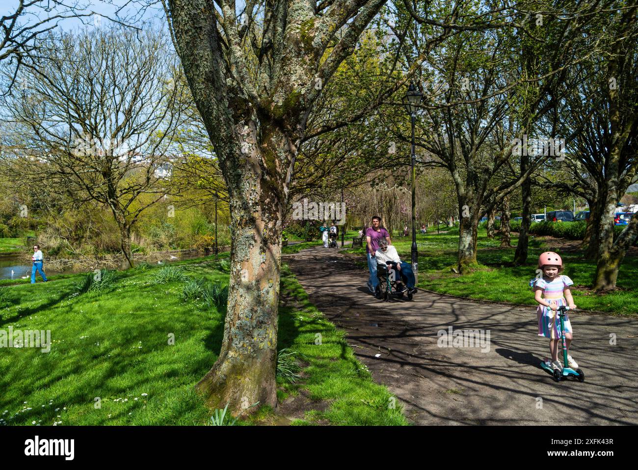 Trees paths people enjoying stroll in Trenance Gardens in Newquay in ...