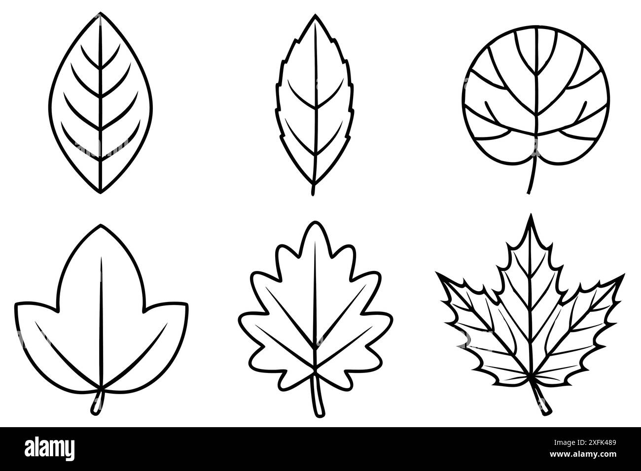 Clipart Leaf Outline