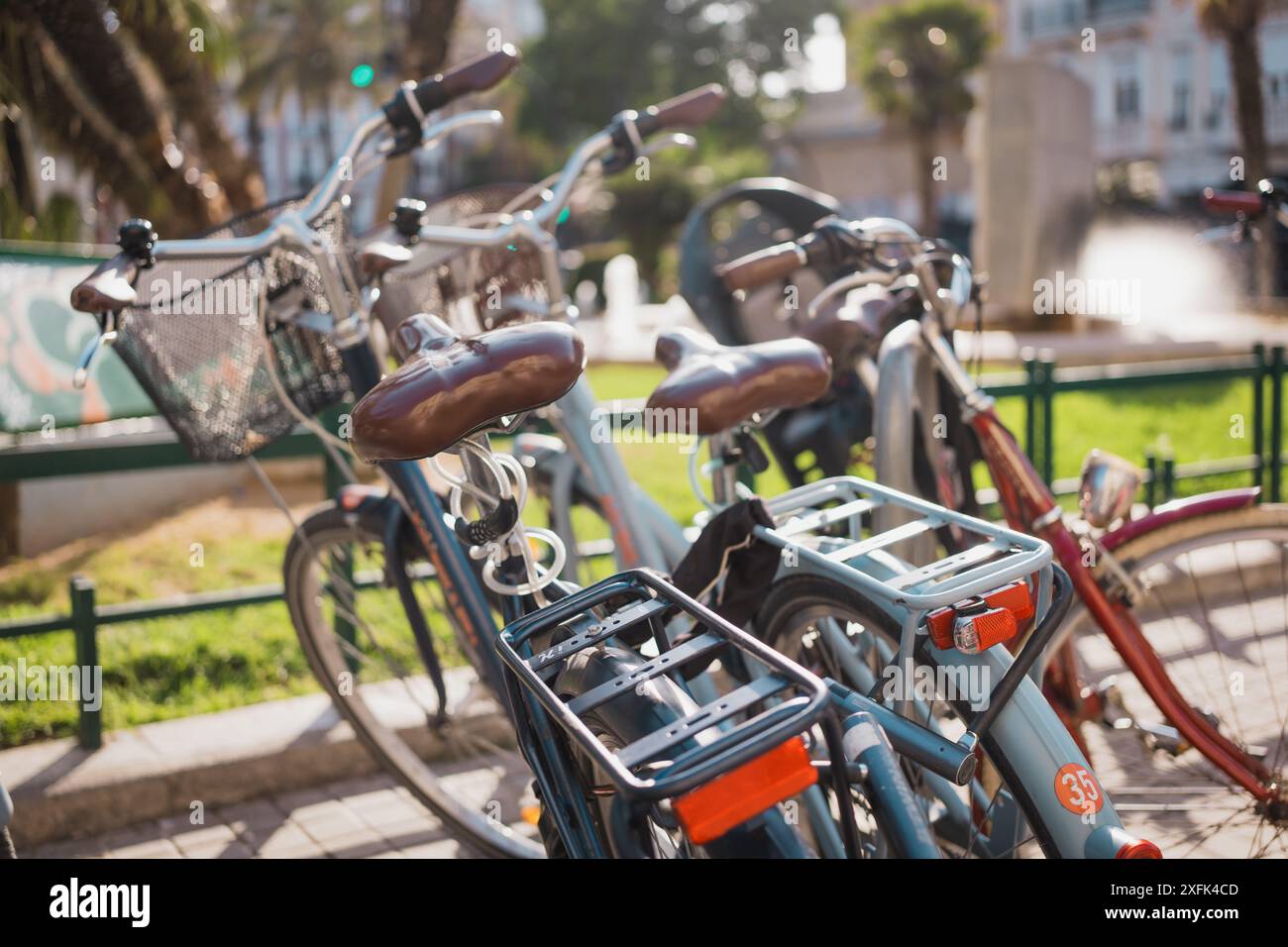 Multiple bicycles parked in an organized manner outdoors, highlighting ...