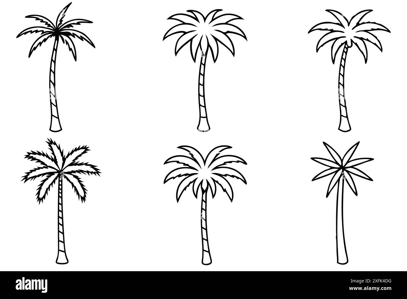 Palm Tree Stunning Line Art Illustration Ideas Collection Stock Vector ...