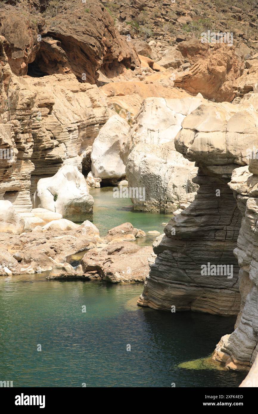 Socotra Island amazing nature, landscape and rare and unique botanical ...