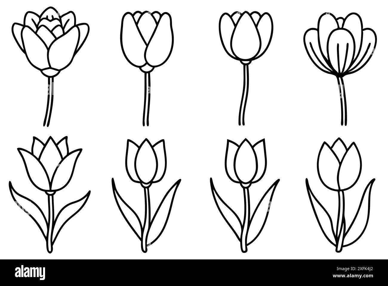 Tulip Flower Line Art Advanced Techniques Stock Vector Image & Art - Alamy