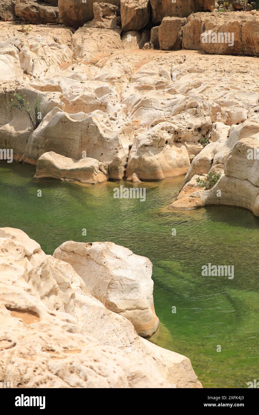 Socotra Island amazing nature, landscape and rare and unique botanical ...