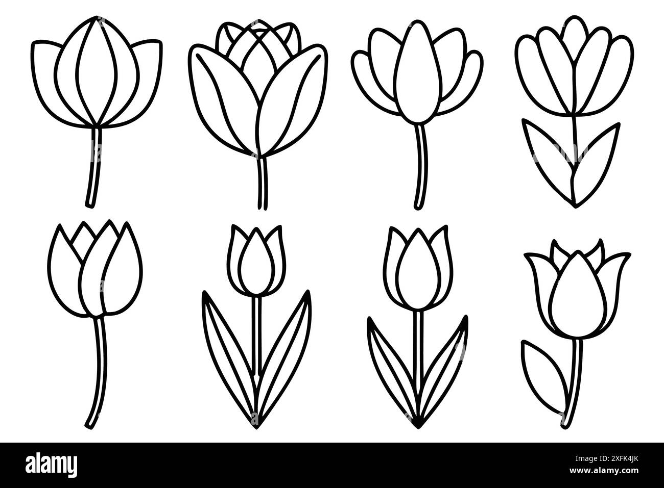 Tulip Flower Line Art Advanced Techniques Stock Vector Image & Art - Alamy