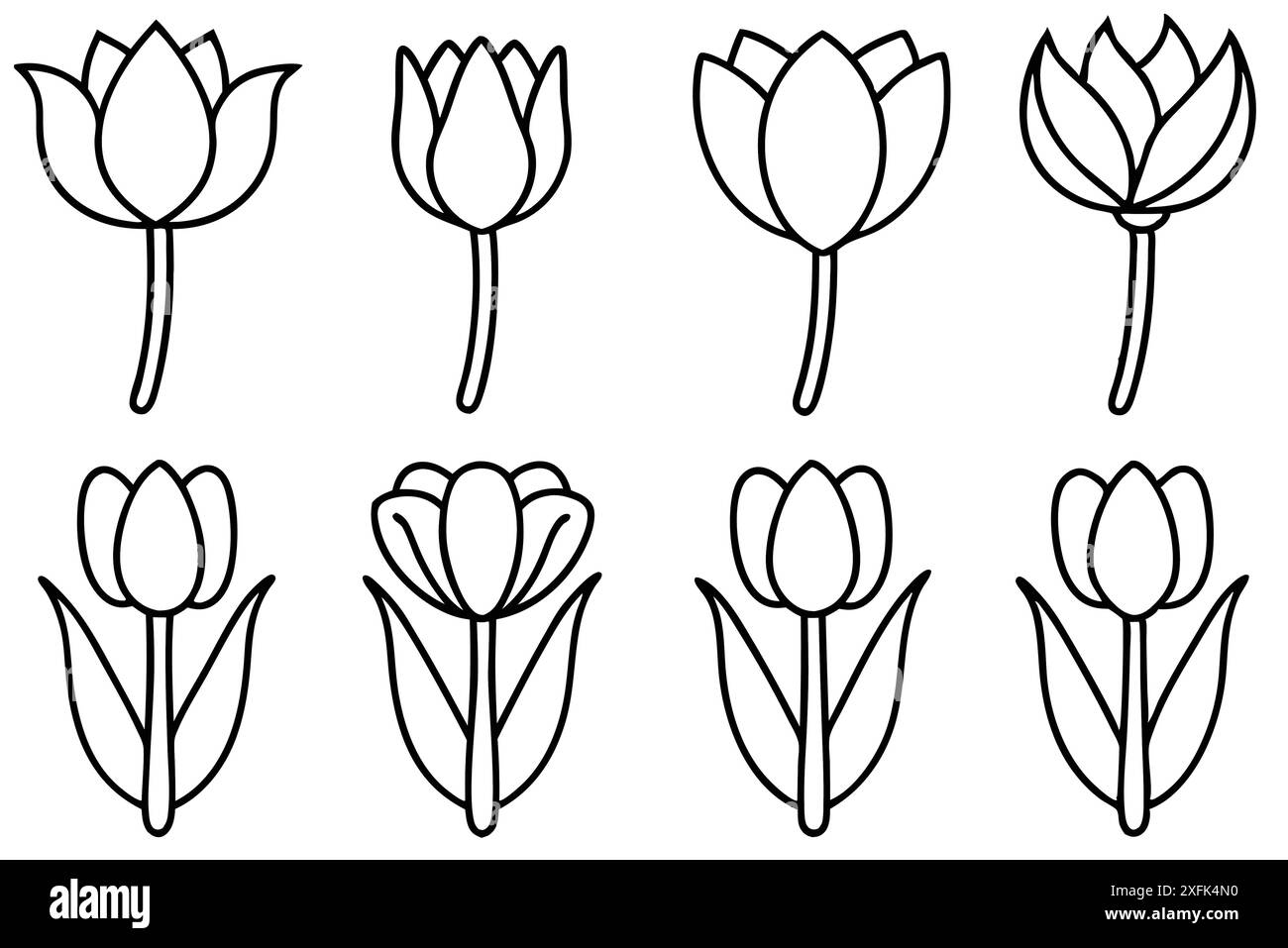 Tulip Flower Line Art Advanced Techniques Stock Vector Image & Art - Alamy