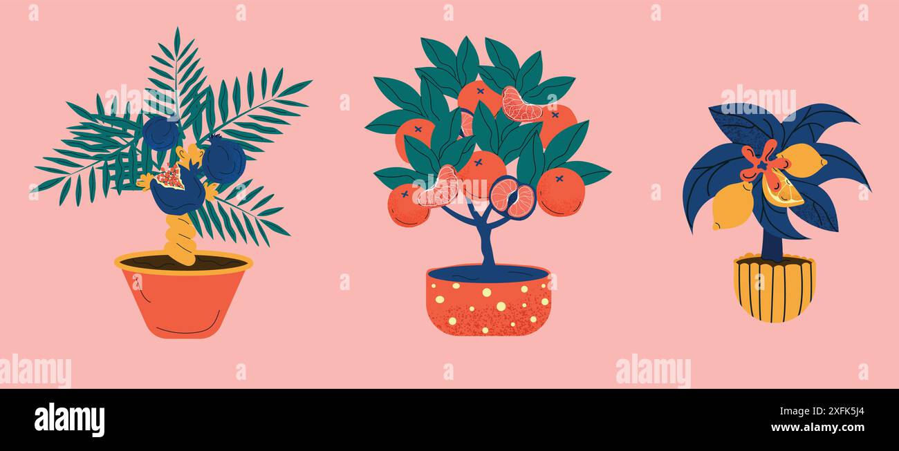 Colorful plants in pots Stock Vector Images - Alamy