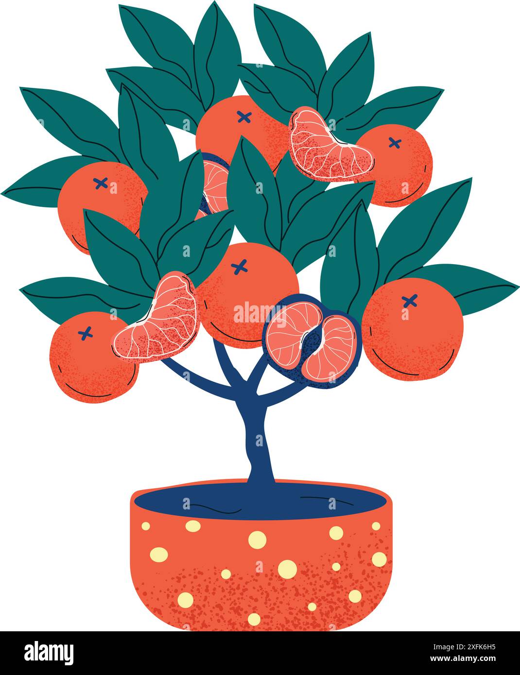 Orange tree ripe fruits tree Stock Vector Images - Alamy